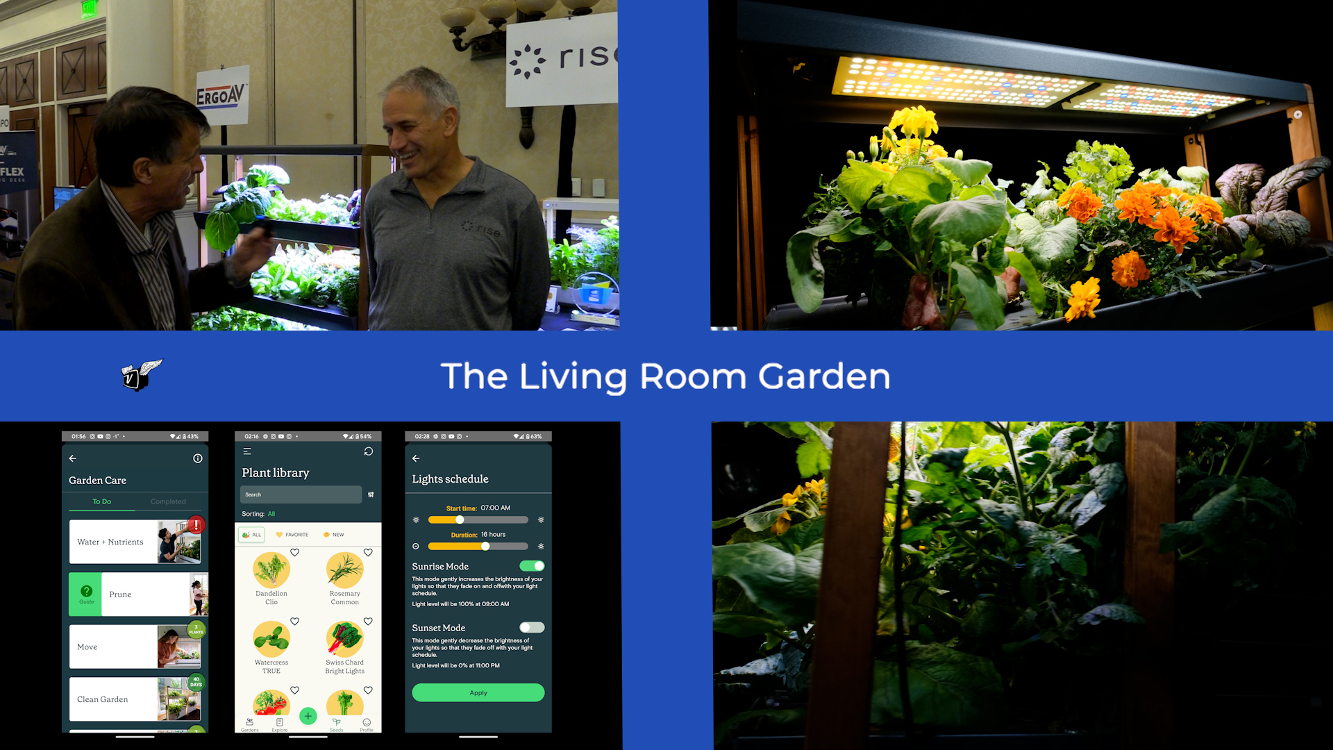 The Living Room Interactive Garden - ViodiTV